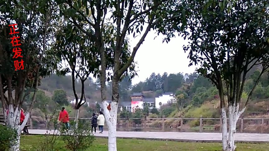 让我们荡起双桨,摇动小船轻游水,来看风光无限好,尽展精神奔前