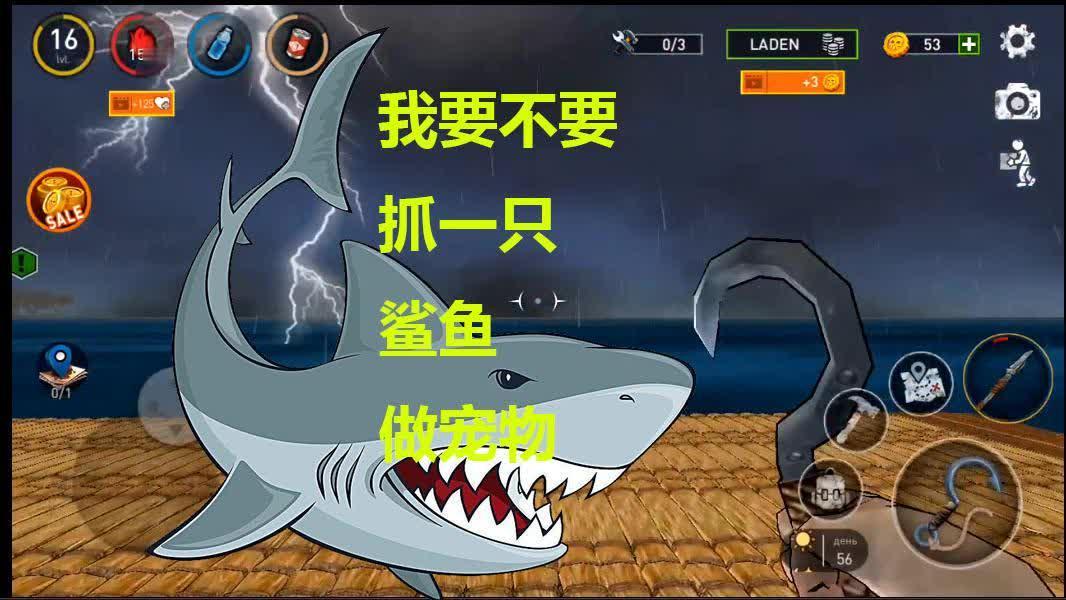 木筏求生攻略,一个人木筏上太无聊我要不要抓只鲨鱼做宠