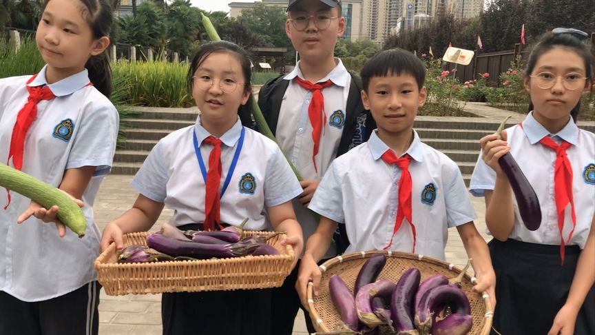 特别的开学第一课 在学校农耕实践基地播种 移苗 采摘