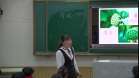 人教部编版三年级语文下册 第1单元3 荷花河南省-马桂玲老师 优质课...