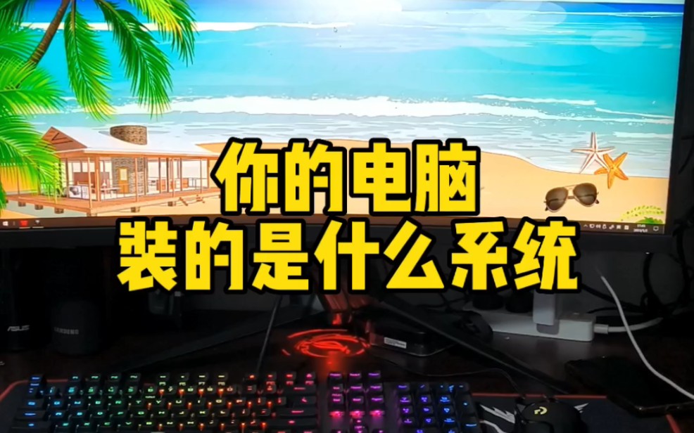 你的电脑装的是什么系统?