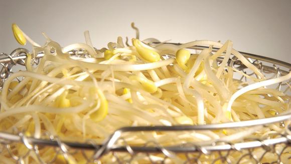 治疗支气管炎的方法有很多,唯独饮食最健康,吃十大食物效果超好