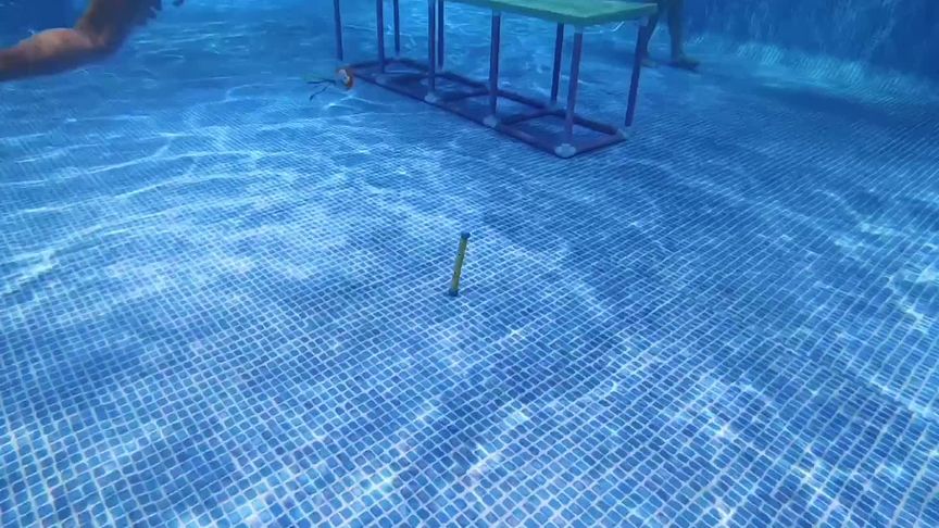 #教育成长计划 #学游泳小朋友 #自由潜 从小学游泳的重要性