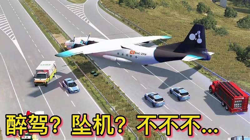 车祸模拟器441 憨憨机场附近玩无人机 飞机引擎被撞掉 情况危急