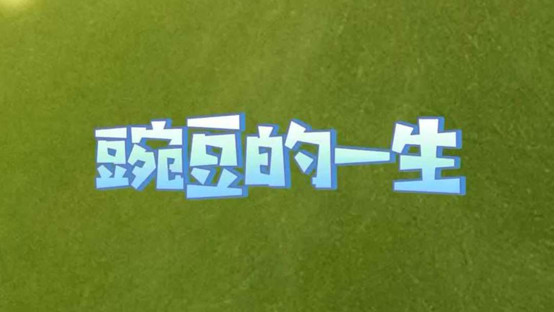 李子柒 豌豆的一生