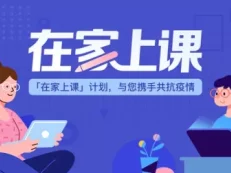 单数双数的认识