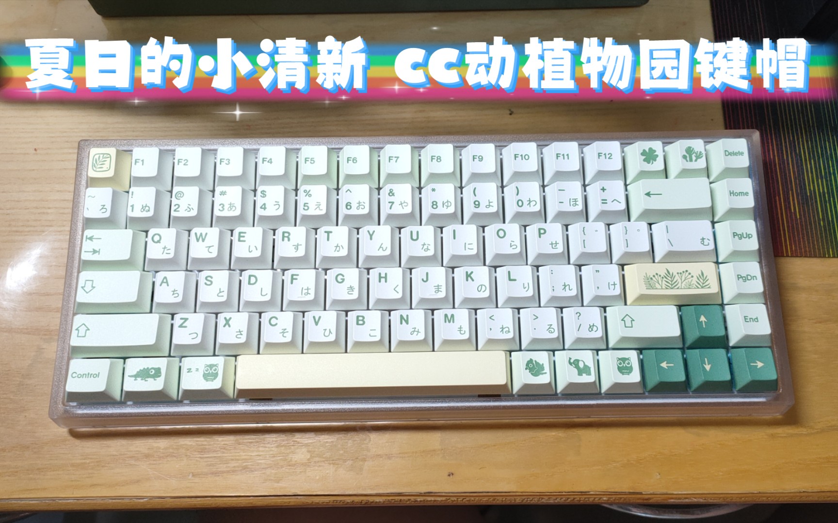 键帽记录——cc动植物园