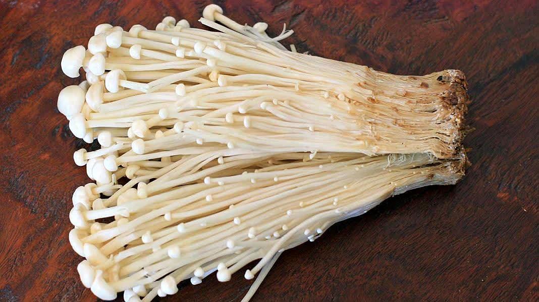 吃火锅必备的金针菇是怎么种植的?镜头记录全过程,长见识了!