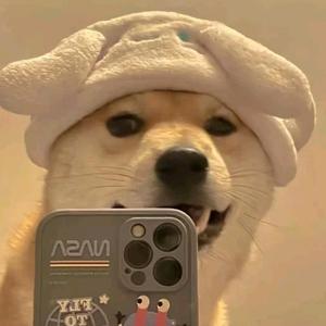 梦晖不爱吃香菜 