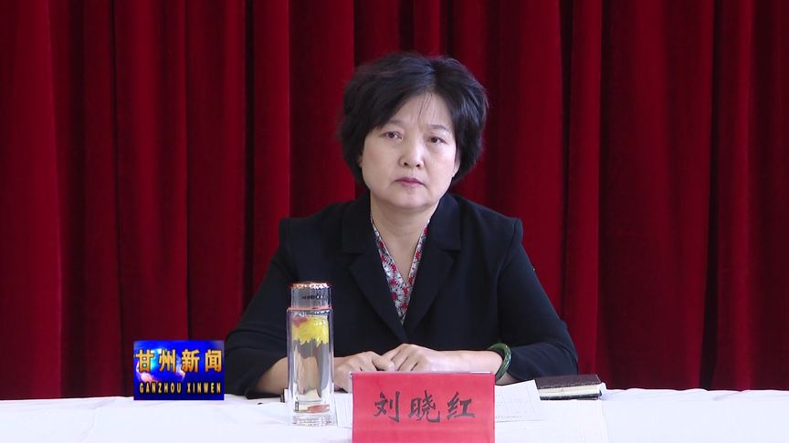 区脱贫攻坚领导小组2020年第九次会议召开