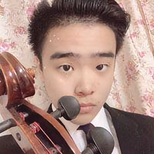皑凌乐声 