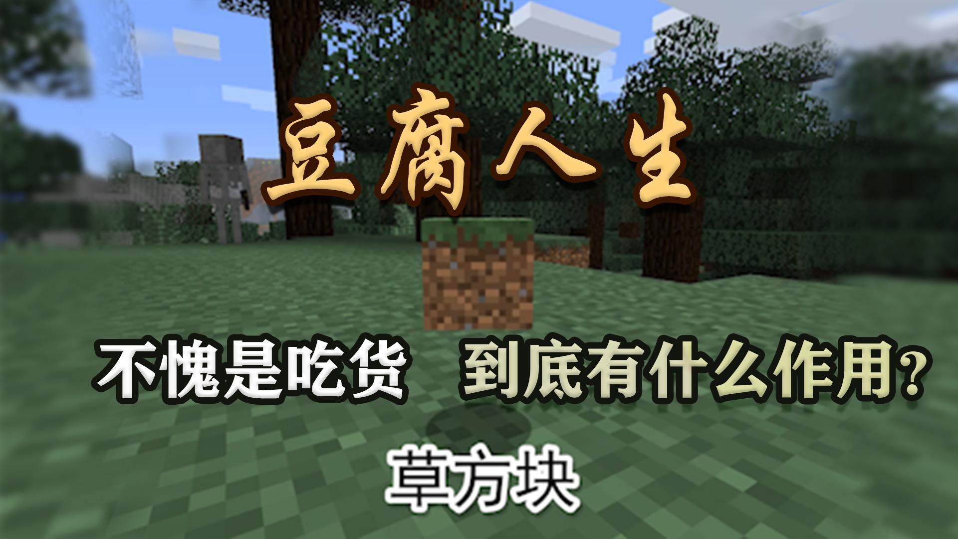 我的世界:冷门知识,高效种地