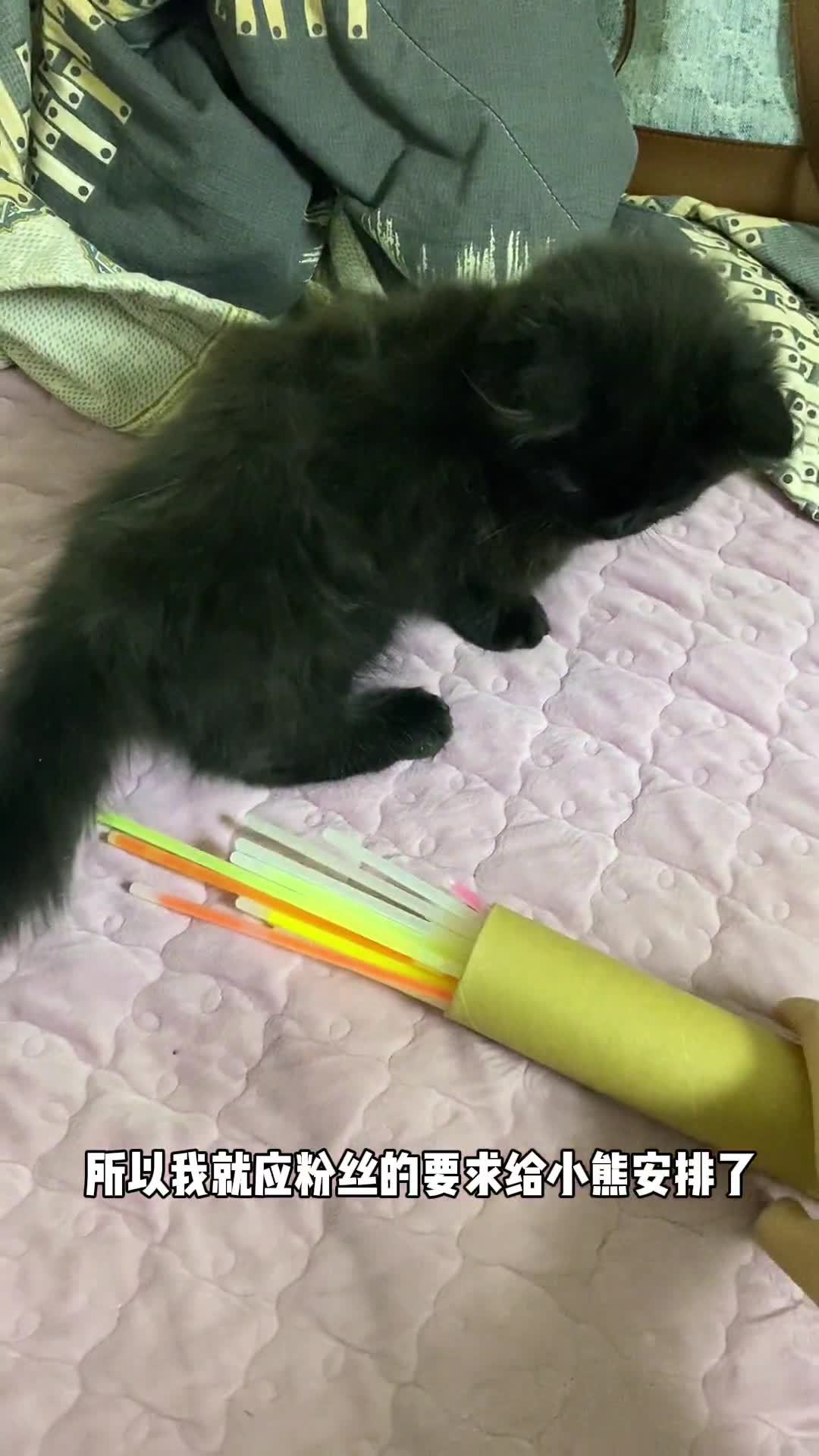 看到最后!!荧光棒的效果算还可以吗?