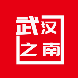 武汉之南 