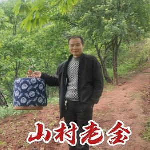 山村老金 