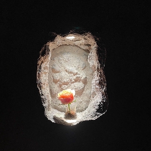 白日放歌爱读书 