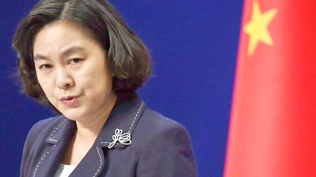 世界卫生组织将赴中国调查?华春莹的回答赢得好评,一目了然