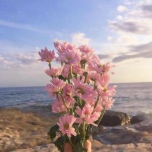 正大海 
