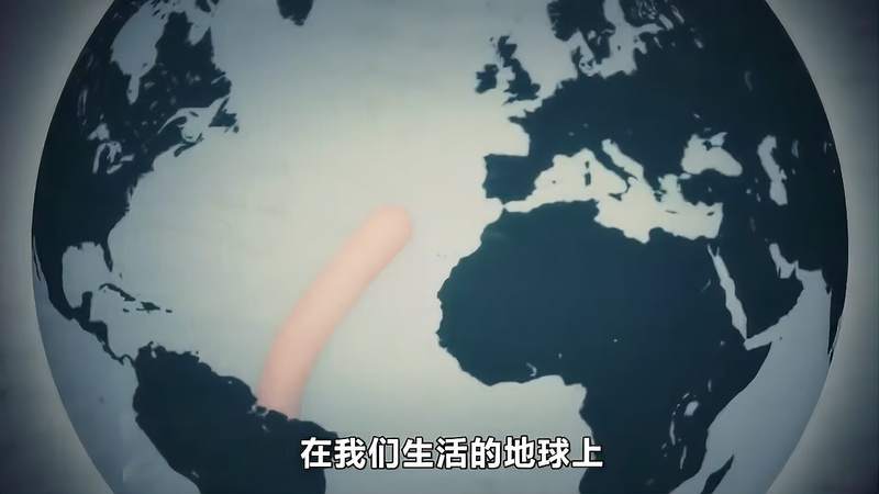 埃博拉病毒就像化骨绵掌,致死率极高,它到底有多可怕?