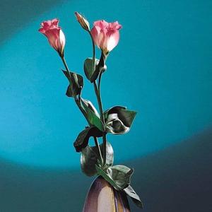 英明果断玖月晞 