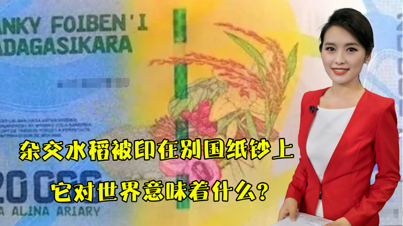 杂交水稻被印在别国纸钞上,这是什么原因,它对世界意味着什么?