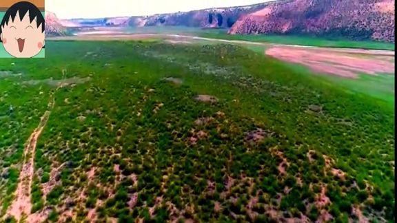 中国惊艳全球!消灭沙漠变森林!创造奇迹!