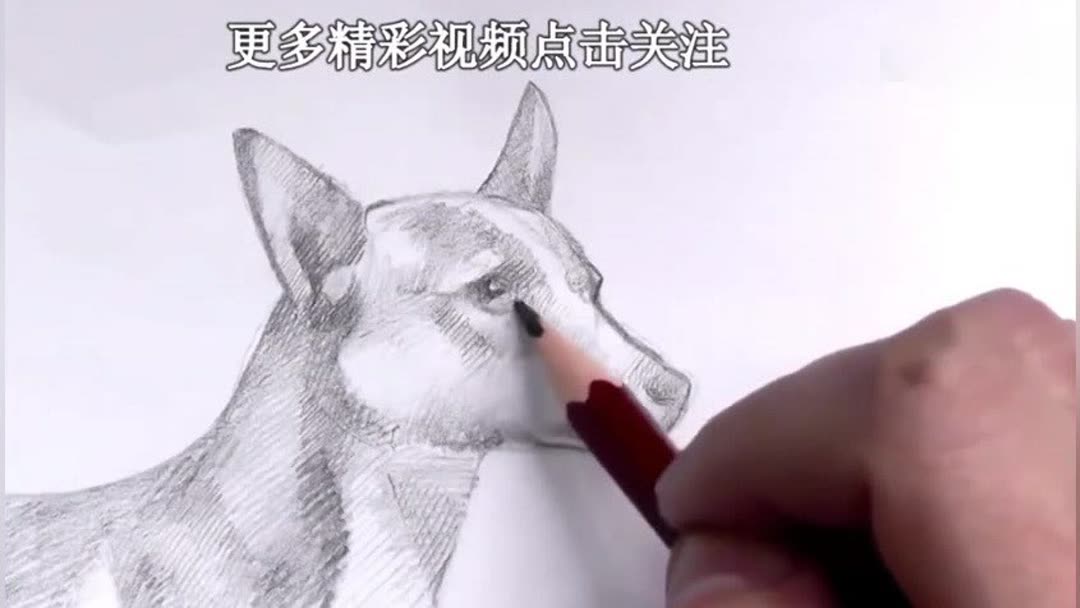 2分钟教你画一条狗,超简单!