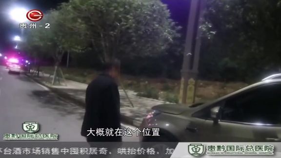 车辆不礼让行人 遛狗男子被撞飞
