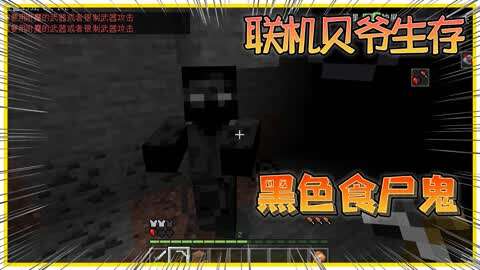 我的世界联机贝爷生存:下矿遇到两种可怕怪物,滚滚被打到逃跑
