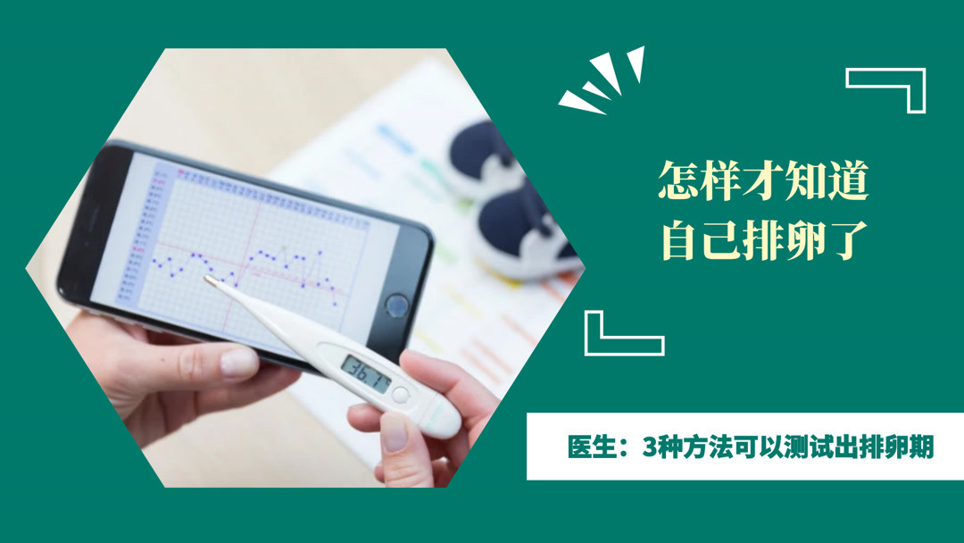 怎样才知道自己排卵了?医生:3种方法可以测试出排卵期