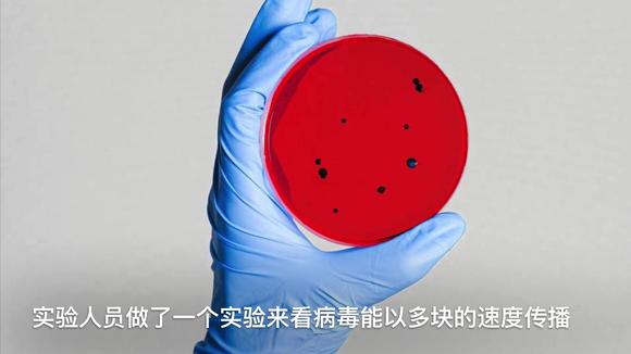 病毒传播到底有多快?看看实验就知道