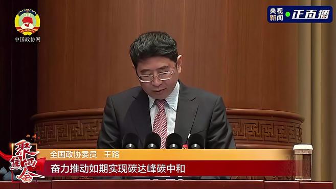 如期实现碳中和碳达峰怎么干？王路委员这样建议