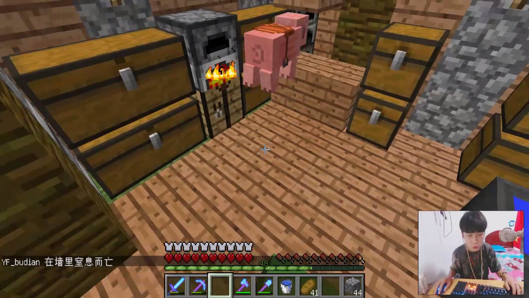 【叶枫】我的世界叶枫是一只小僵尸33虐杀史蒂夫