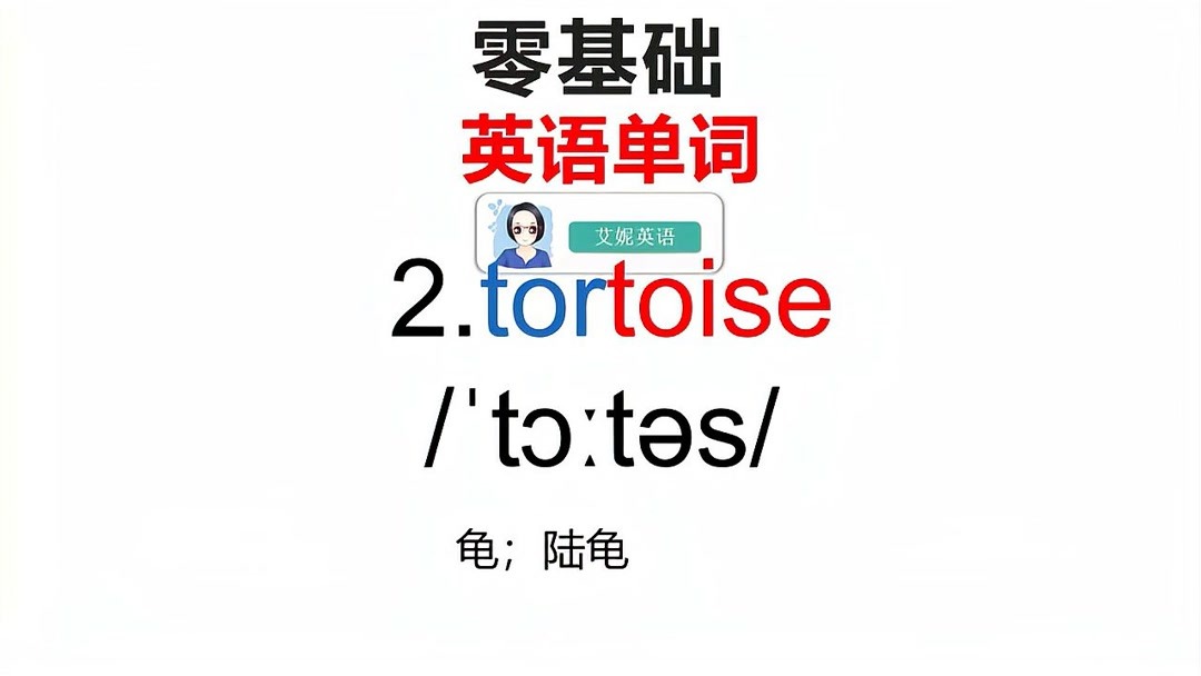 零基础英语单词天天练,tortoise乌龟如何发音和记忆