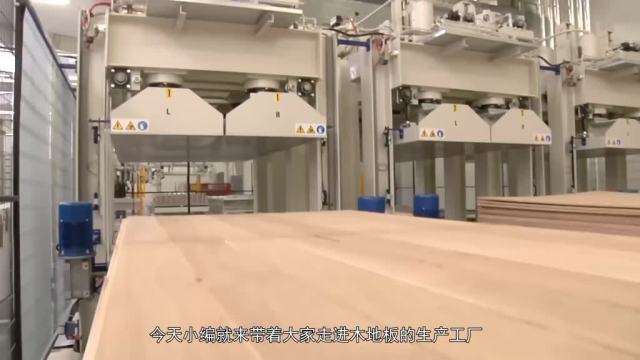木地板是怎么生产出来的?见识下国外的流水线生产,都是真材实料