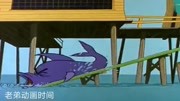 猫和老鼠动画时间大鲨鱼差点吃了汤姆多亏了老鼠搞笑高清正版视频...