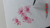 国画的简单画法秋意盎然的菊花