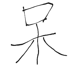 呆呆的舟舟 