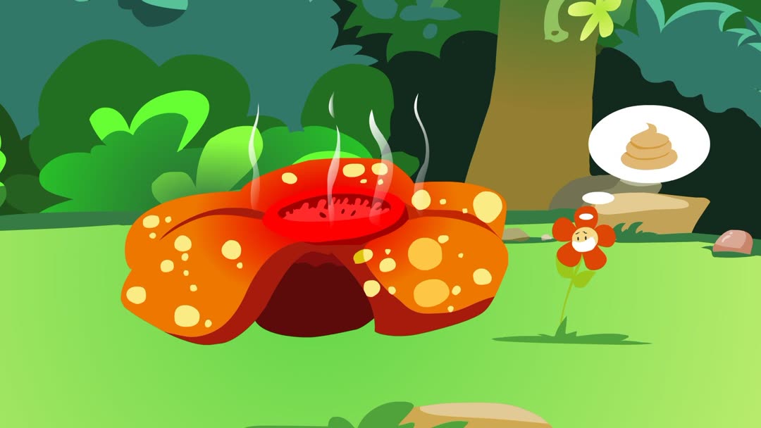 【米粒计划亲子百科系列121集】世界上最大的花是臭的?