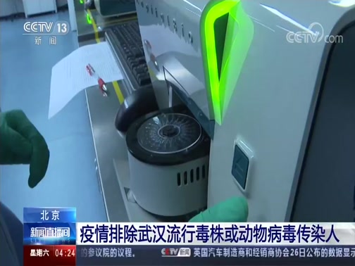 [新闻直播间]北京 疫情排除武汉流行毒株或动物病毒传染人