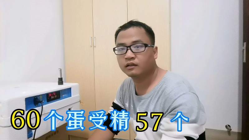 鸡蛋孵第6天了,啊油今天照下受精蛋,受精率95%期待成功出壳