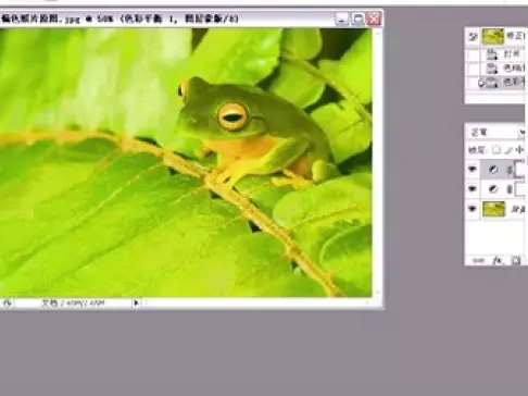 Photoshop照片精修处理实例视频教程之修正偏色照片