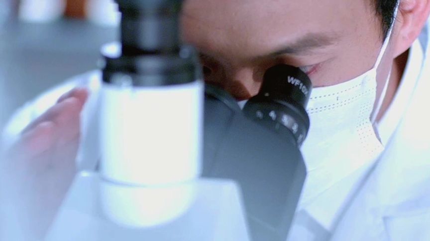 #欧诗漫珍珠文化之旅 珍珠文化-碎珠成粉