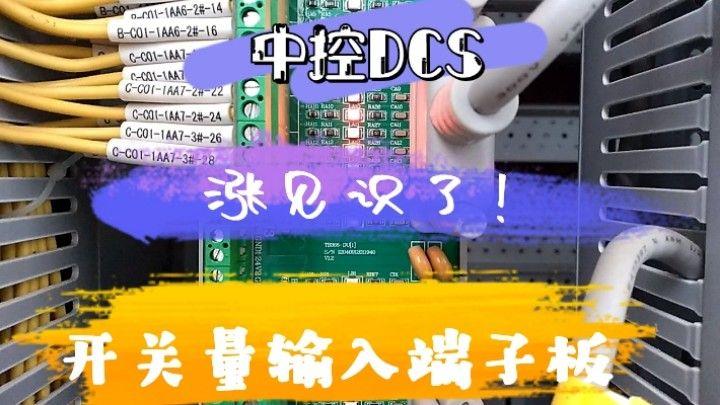 优秀民族品牌PLC,中控DCS,一起来认识它