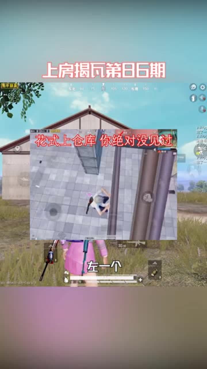 和平精英 你会这样的操作吗