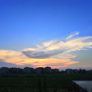 霜华边水 