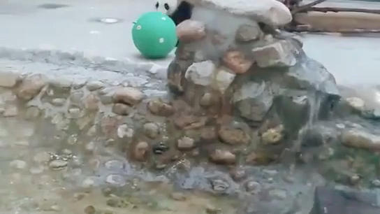 传说中的游泳圈