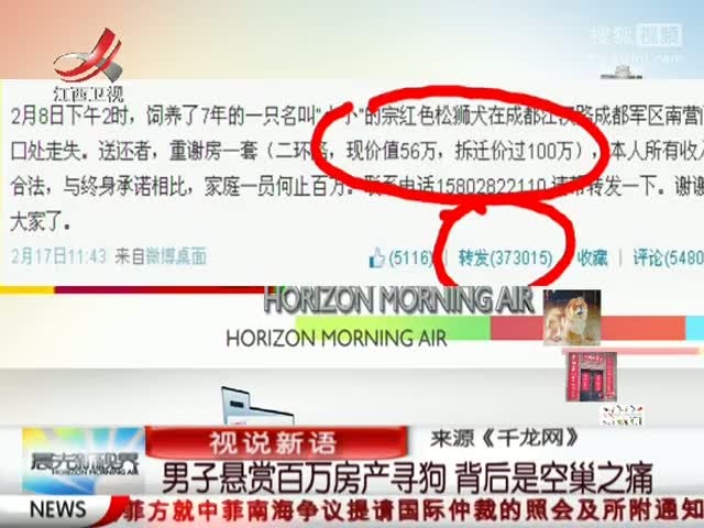 男子悬赏百万房产寻狗 背后是空巢之痛