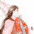 风起花瓣飘 