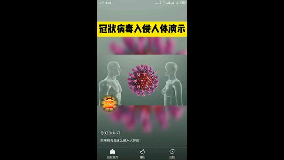 冠状病毒入侵人体演示。